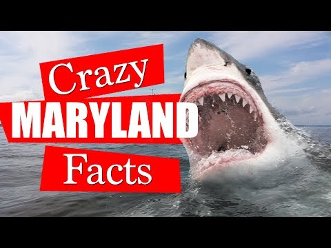 10 Maryland Facts You Did Not Know!