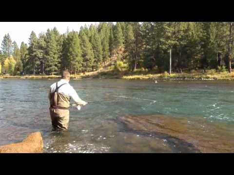 Beulah Platinum Spey 7 Weight - Gear Report
