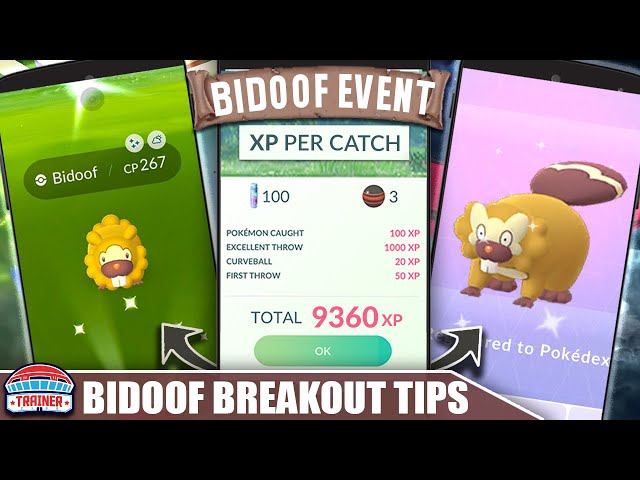 The best moveset for Bidoof in Pokemon GO
