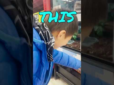 🤔🐾WHAT TO BUY WITH $100 IN PETCO? #adventurous #fish #kidsfun, #pets