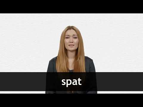 SPAT 释义 | 柯林斯英语词典