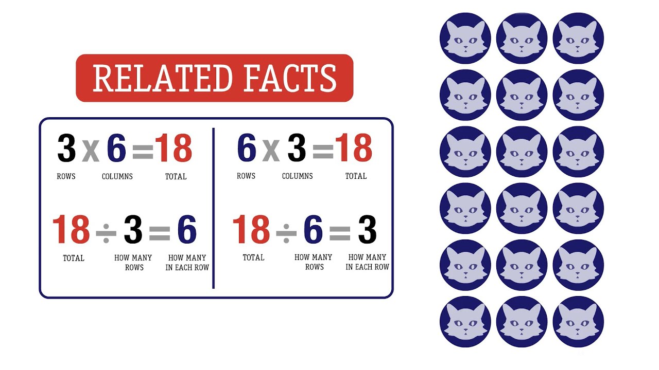 Write related multiplication and division facts. Grade 3