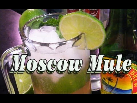 Moscow Mule Cocktail Recipe - Vodka Mixed Drinks - theFNDC.com