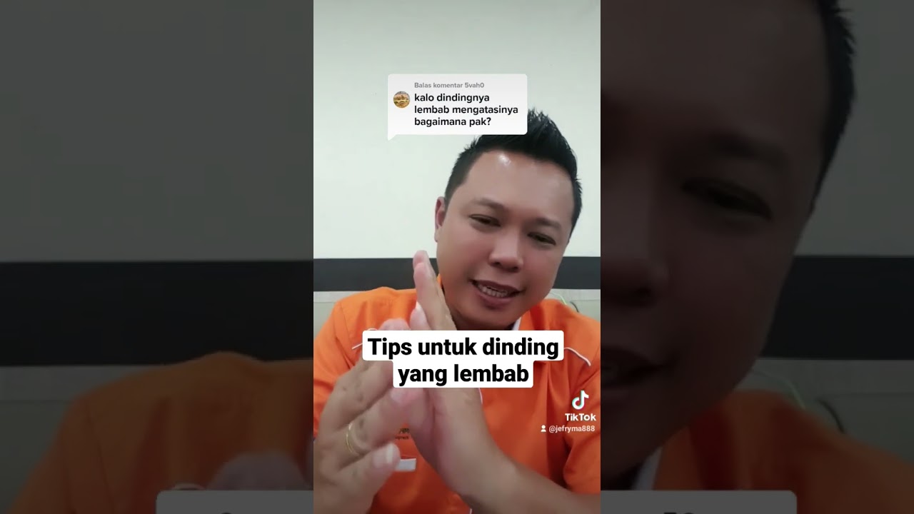 how to deal with damp walls