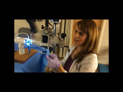 How to Perform a Loop Electrosurgical Excision Procedure (LEEP)