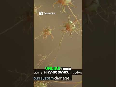 FND Understanding Functional Neurological Disorder and Its Symptoms
