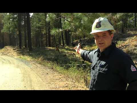 Forest Service Management Practices Beneficial to Response Effort on Schneider Springs Fire