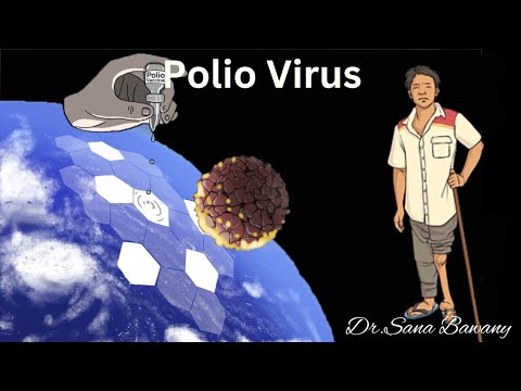 What is Polio || Polio Virus Symptoms