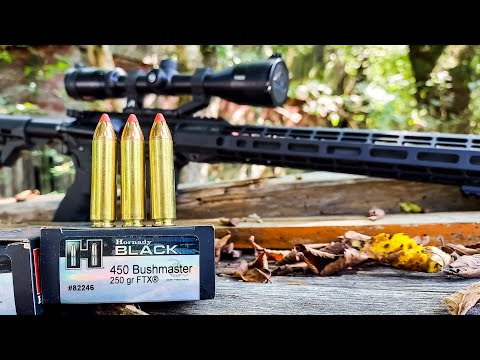 450 Bushmaster - First shots and 100 Yard Sight In