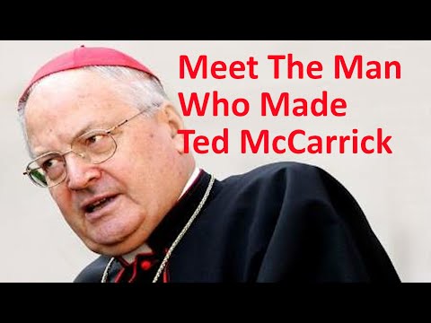 Meet The Man Who Made Ted McCarrick – RETURN TO TRADITION