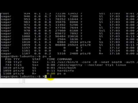 how to kill process in Unix