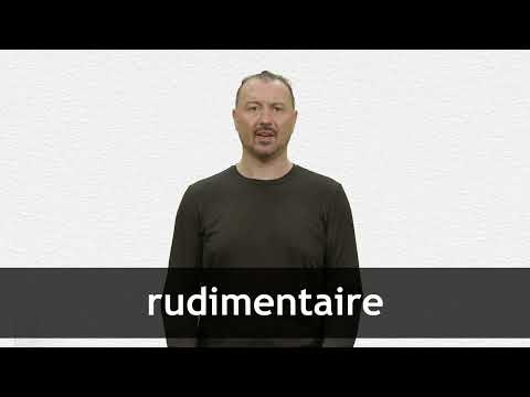 English Translation of “RUDIMENTAIRE” | Collins French-English Dictionary