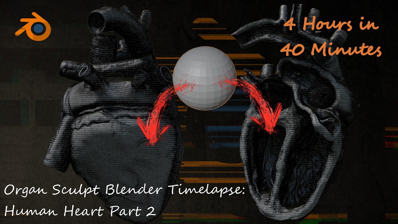 Anatomical Human Heart Blender Timelapse: Half-Hearted