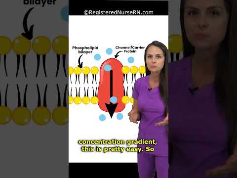 Simple vs Facilitated Diffusion Explained | Fluid & Electrolytes #shorts #nursing