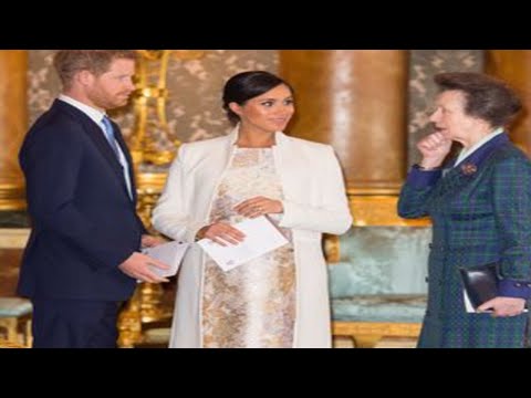 Princess Anne's thinly veiled dig at Prince Harry and Meghan in shock new interview