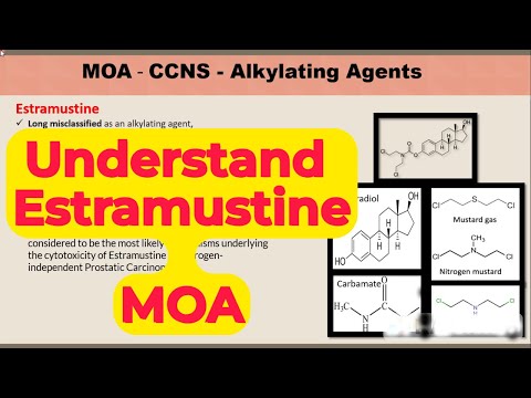 Estramustine Phosphate Capsule - X Trant Capsules Latest Price ...