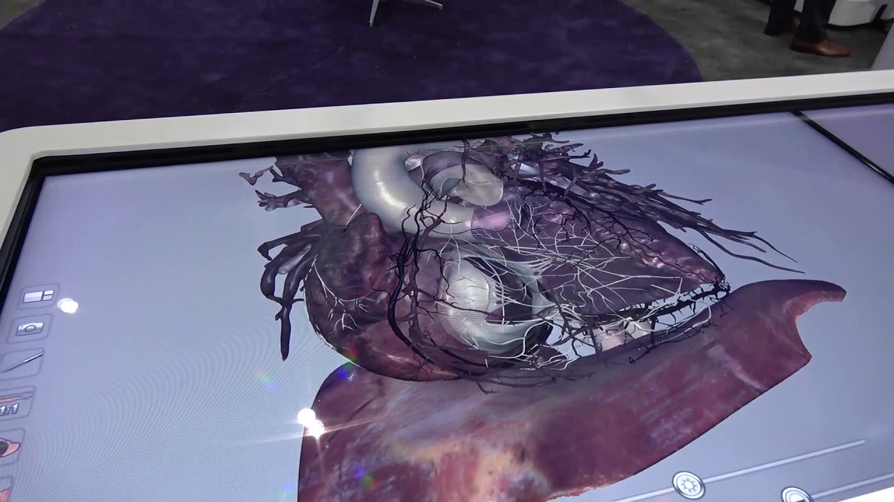 Anatomage Virtual Dissection Table Showcased at IMSH 2020