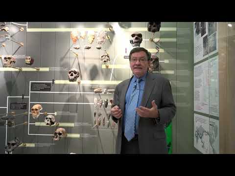 What makes something a homo sapiens?