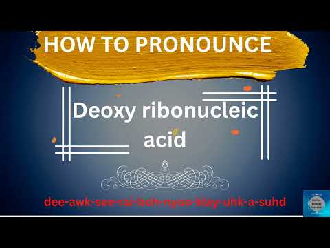 Deoxyribonucleic acid | How to pronounce Deoxyribonucleic acid | How to say