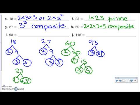 Review Prime Factorization and Fraction to Decimal