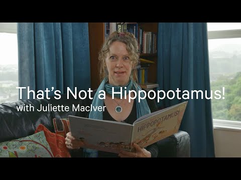 That's Not A Hippopotamus! by Juliette MacIver | 9781927271971 | Booktopia