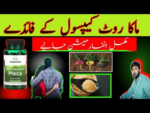 Maca root ke fayde | maca root benefits in Urdu|maca root benefits|maca root for men