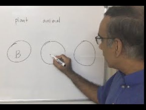 IB Biology-Topic 5.3 Plant Phyla