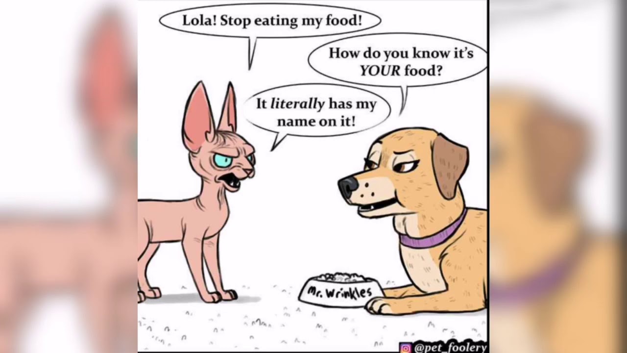 Pixie and Brutus - spaceship (ep-9)