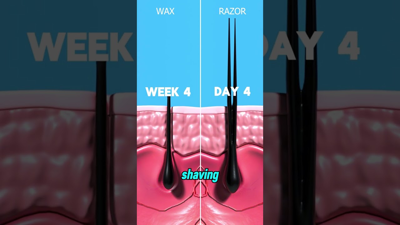 Shaving vs. Waxing: Discover the key differences and find out which hair removal method is best