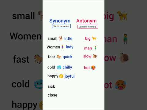 Synonym & Antonym Anchor chart