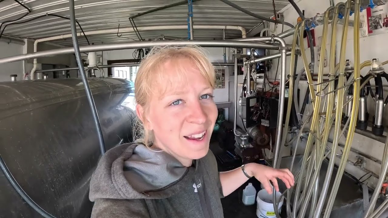 New day new problems on the farm…