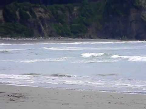 DSCN1486.MOV La Push in Wa