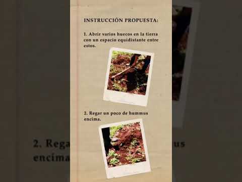 #CambalacheDeArte | Ismael Manco, intercambio de semilla y pensamiento (Manual de siembra)