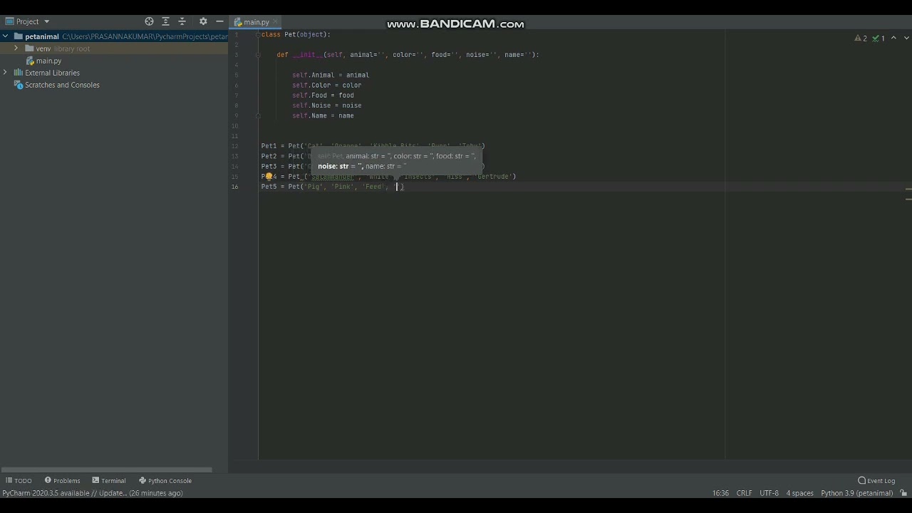 Pet animal Classification in python
