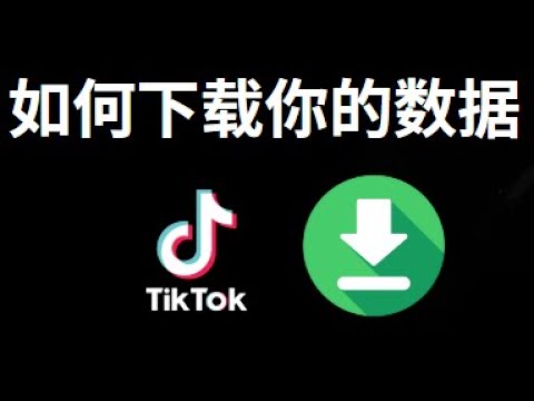 如何下载你的TikTok数据?个人数据请求完整指南