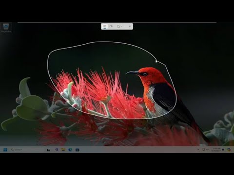 How to Use the Win+Shift+S Keyboard Shortcut to Capture Screenshots in Windows 11/10 [Guide]