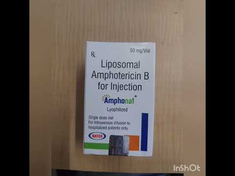 Amphotericin B Injection - Liposomal Amphotericin B Injection Latest ...