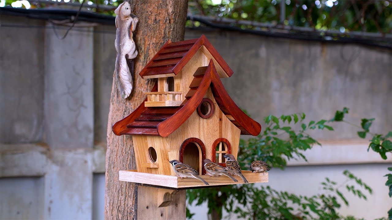 Build This Cute Bird Feeder in Minutes! 🔨🐦