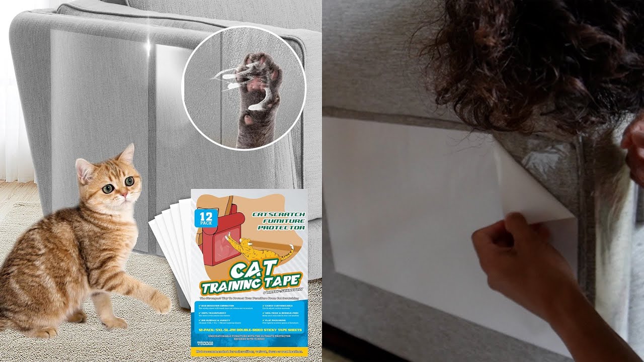 Cat Scratching Furniture Protector Tape Review