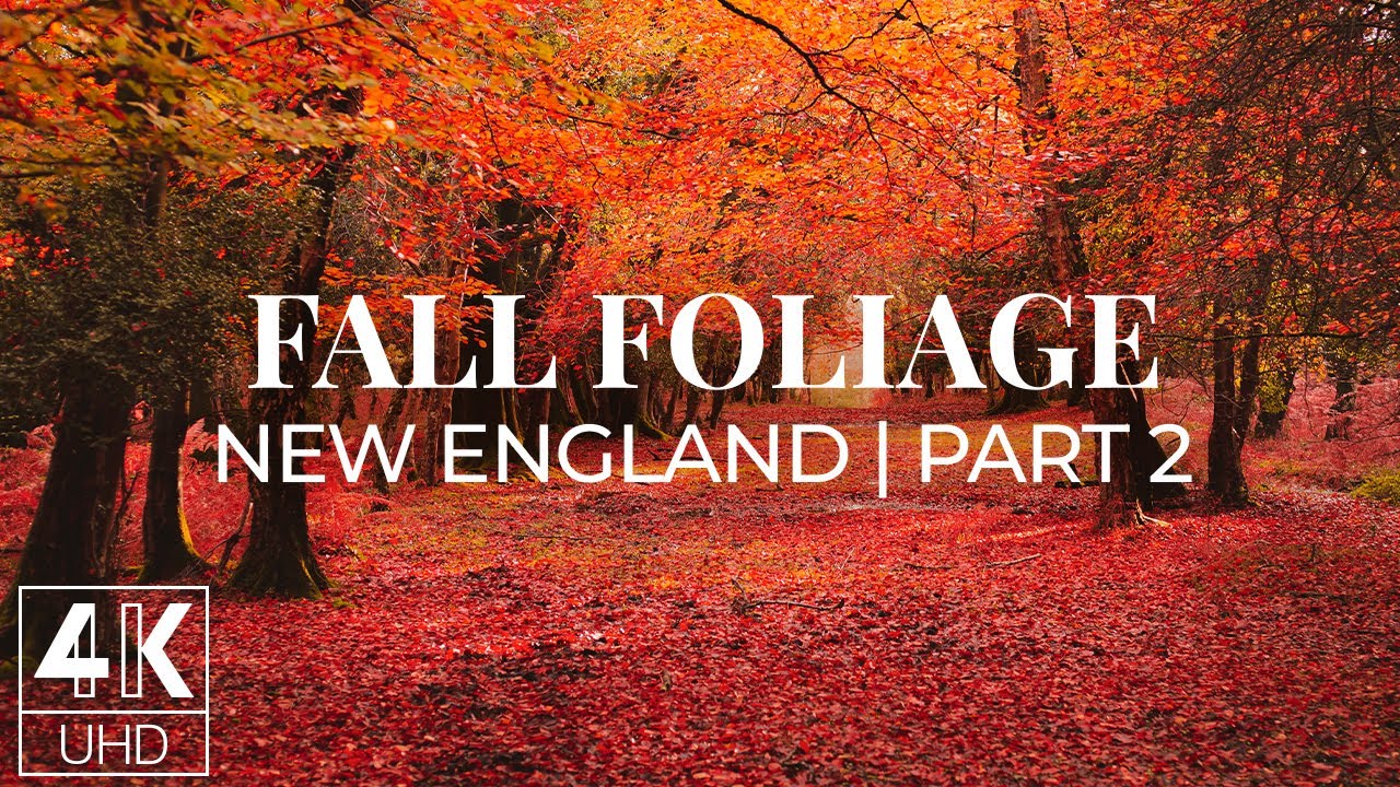 Colorful Autumn 4K TV Wallpapers Slideshow with Fall Foliage in New England (NO SOUND) #2