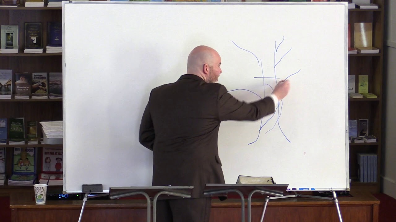 The Pauline Foundation