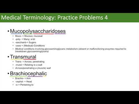 Medical Terminology | The Basics and Anatomy | Practice Problems Set 3