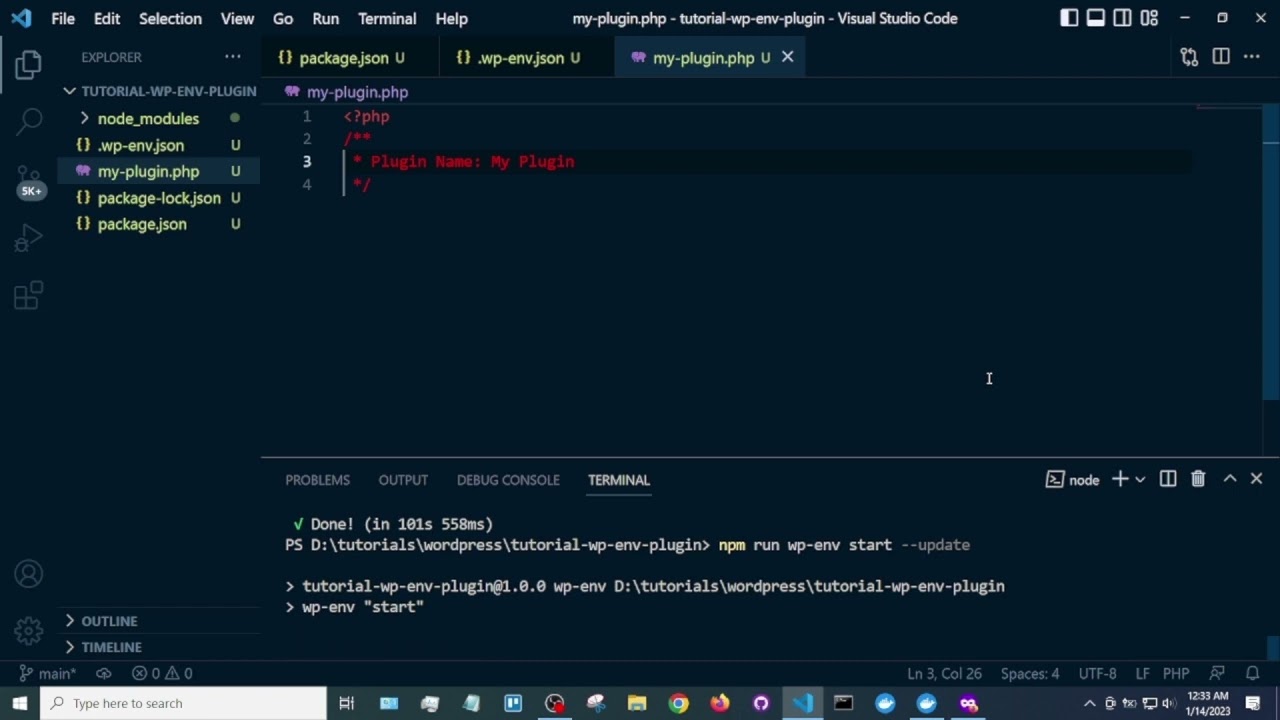 How to develop a plugin with @wordpress/env