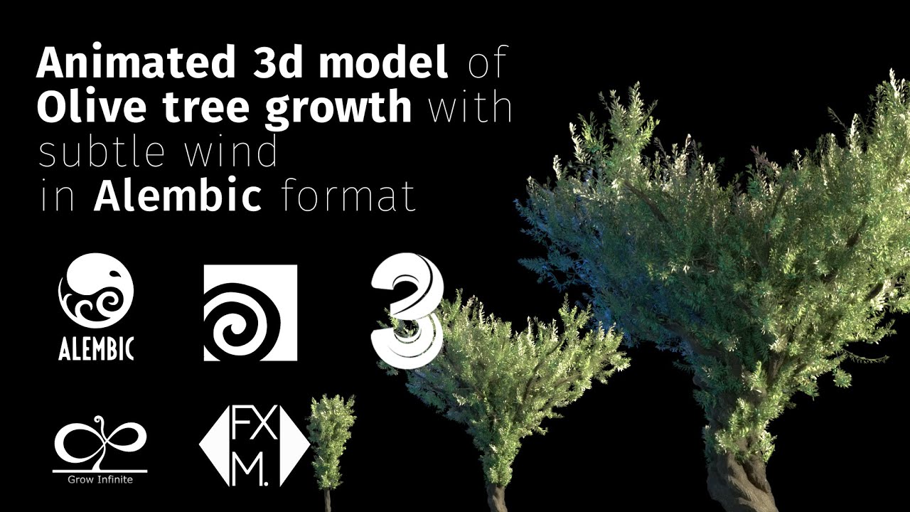 Realistic Growing Olive Tree | 3d Model