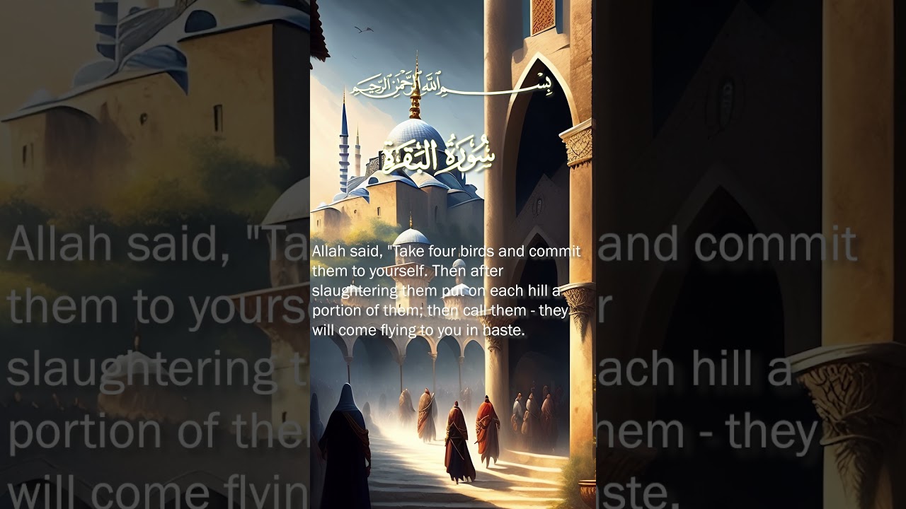 Surah AL Baqarah I Mishary bin Rashid Alafasy I Ayah 260 sheikhmishary