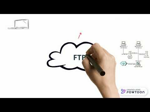 What is the differences between HTTP & FTP???