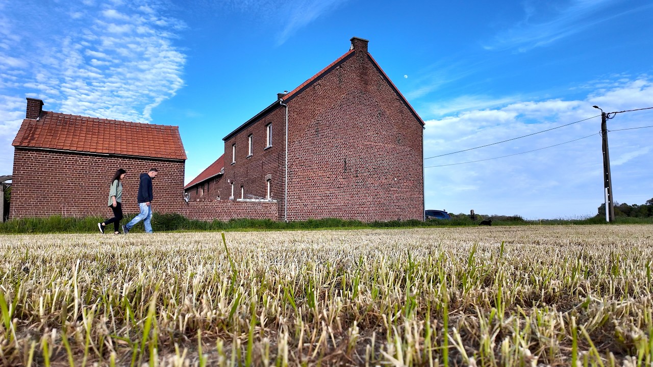 What you REALLY WANT to know about LIME PLASTER/ Renovating a 110+ y.o. ABANDONED farm in Belgium