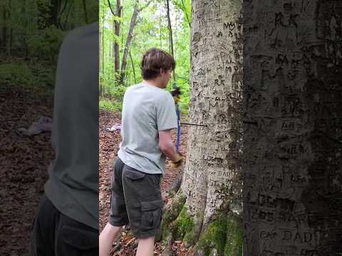 How to Determine The Age of an Alive Tree | How to | How to Calculate An Alive Tree Age