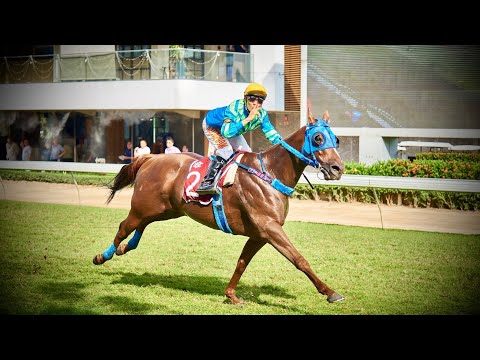 NOOM NUEA - 07/12/2024 - Race 5 - Thoroughbred Division 2