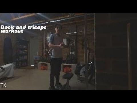 Back and Triceps workout